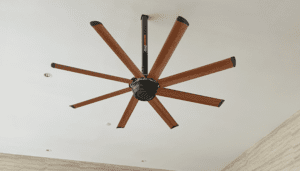 F Series | Benimafans